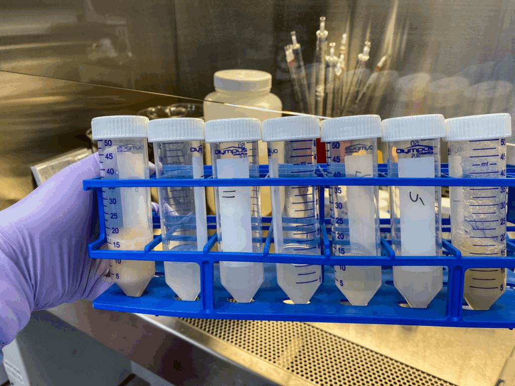 Biotech’s Role in Space Resource Extraction: Biomining 101 - Space Mining